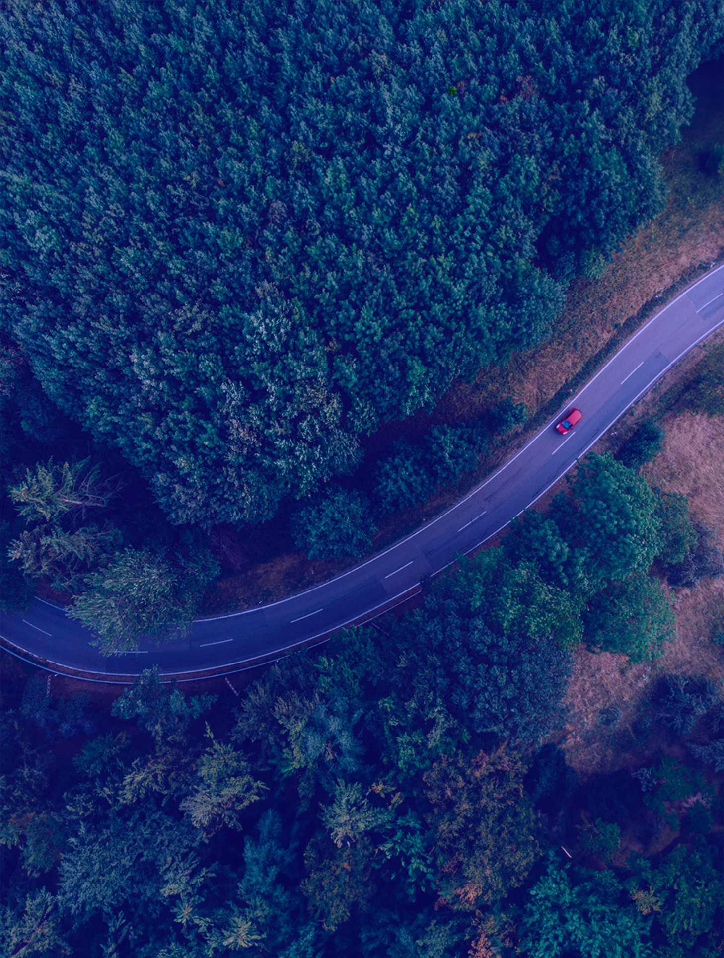 Lavora con noi - Jakala