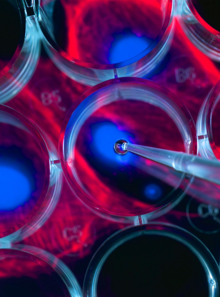 Pharma & Lifescience Industry Partnership - Jakala